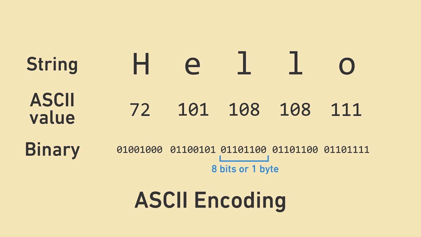 Latin Letters and Numbers: Exploring the Versatility